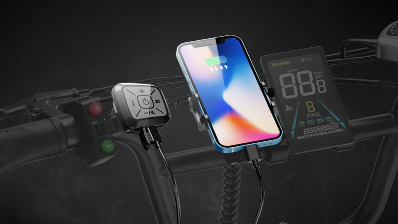 Aipas A4 Gentry Ebike|Lightweight & Stylish Urban Electric Bike|1100W